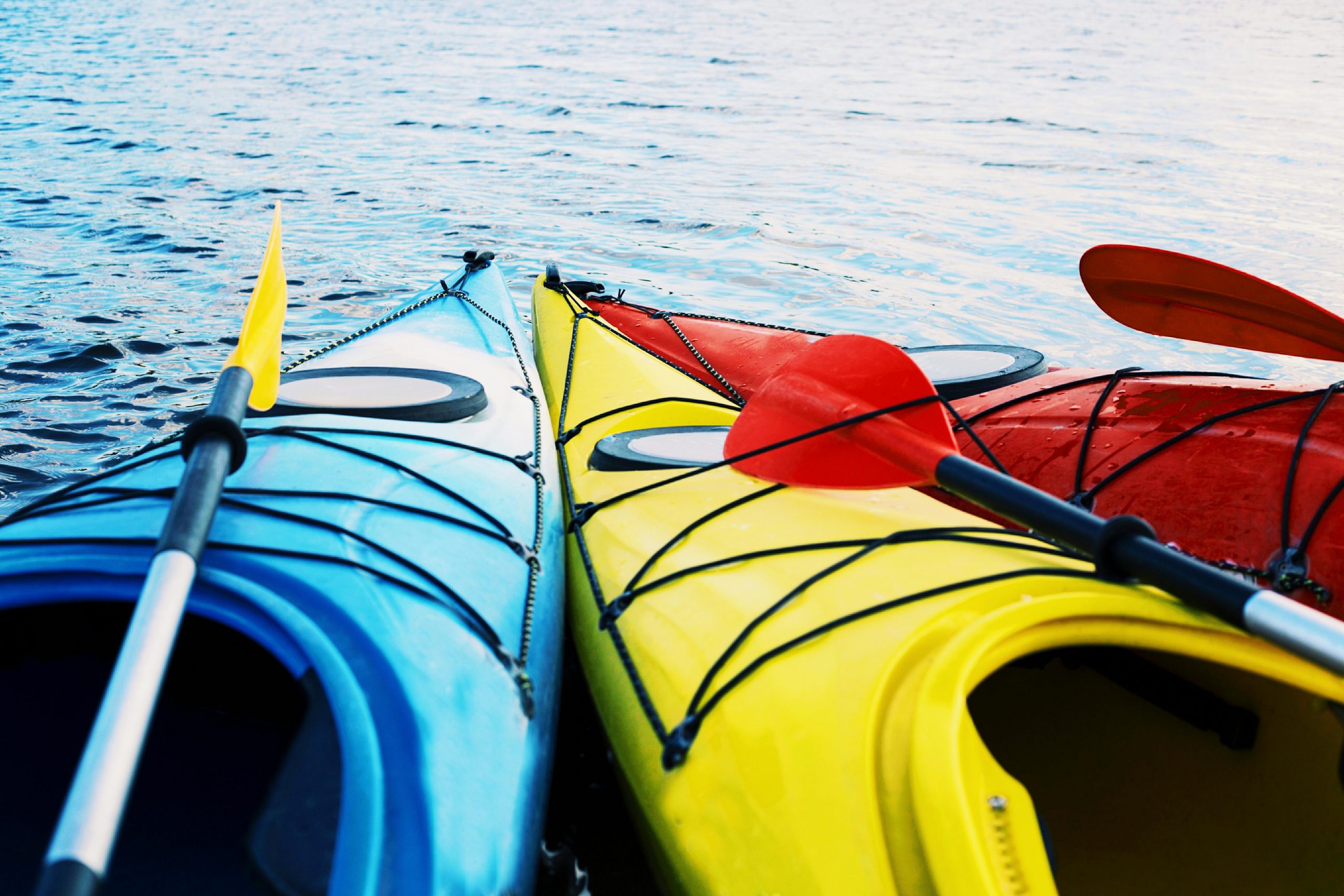 Aventures en vidéo: les Voyageurs sans Frontières en randonnée en kayak